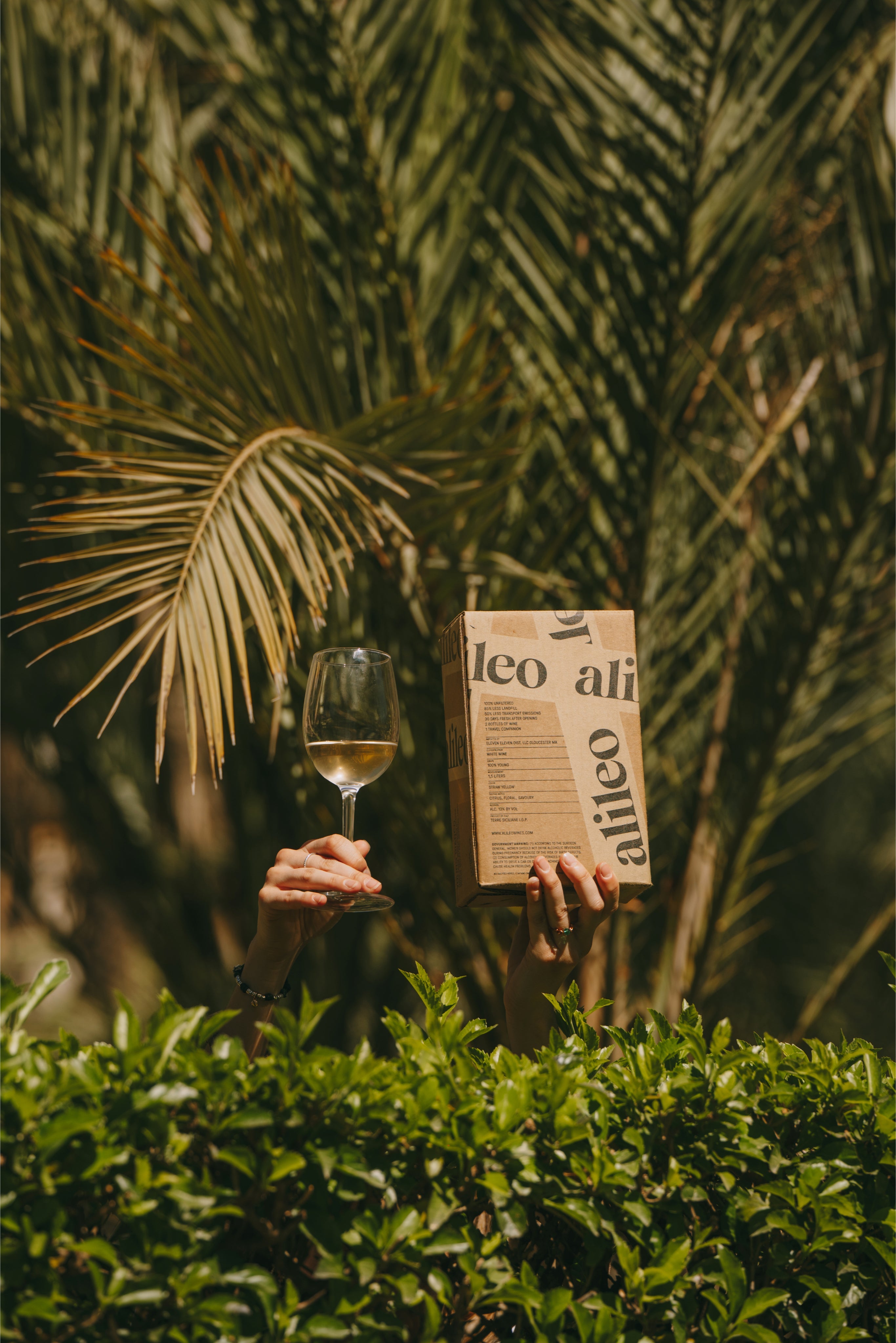 Our Products | Wine, Gear, Accessories, and More – Alileo Wines